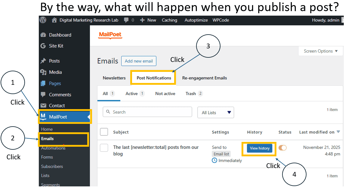 Connecting a website with digital marketing tools 1-1 (Email automation ...